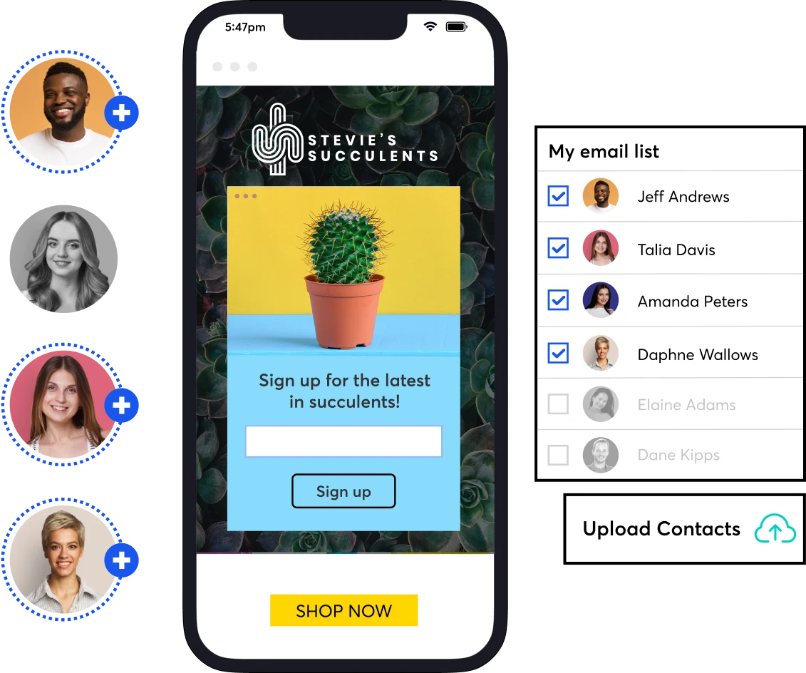 Email & Digital Marketing with Constant Contact - Beverly's Webshop